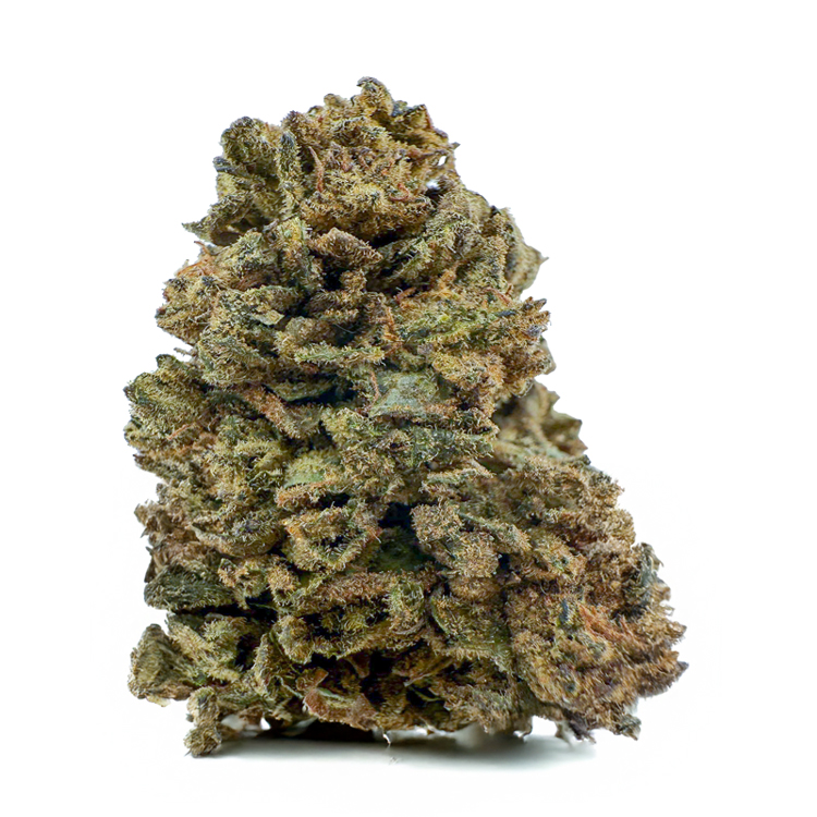 PINE TAR KUSH - bloudsdispensary.ca